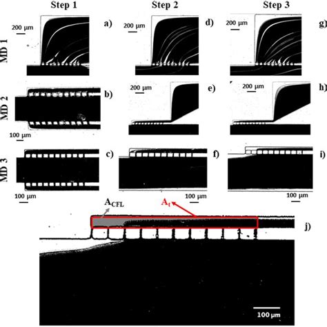 The Serpentine Structure Download Scientific Diagram