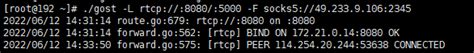 Gost 多级代理gost代理 Csdn博客 Gost 多级代理gost代理 Csdn博客