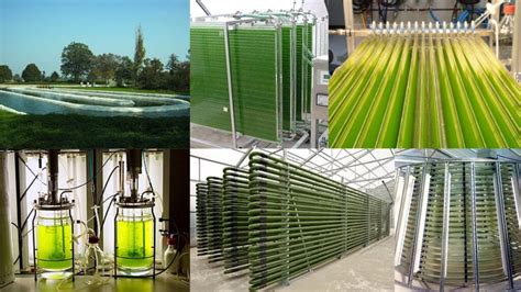 Photo Bioreactor Definition Types Application Advantages Biology Notes Online