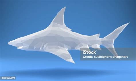 흰색 배경 사업 개념 상어 낮은 폴 리 다각형 삼각형 Predatory 물고기 3d 렌더링 3차원 형태에 대한 스톡 사진 및 기타 이미지 Istock