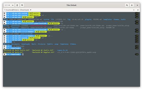 Instalar Zsh Y Tema Powerlevel10k Fedora 33 Linuxitos