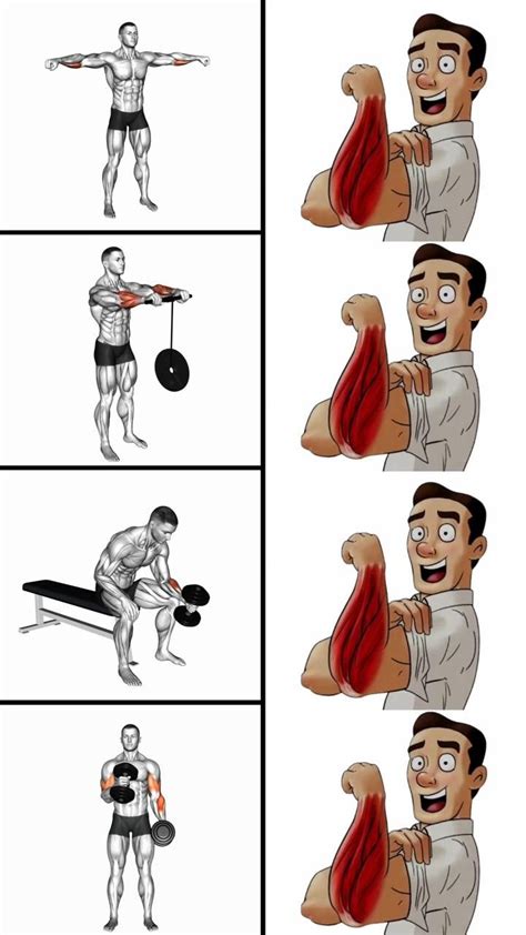 Best Forearm Exercises For Muscle And Strength In 2024 Gym Workouts