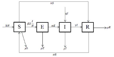 Transfer Diagram Of Seirs Model With Vaccination And Treatment Factor Download Scientific