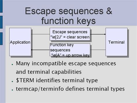 Linux Terminal System Conceptual Linux Terminal Terminal API