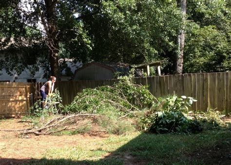 How To Trim And Prune Trees DIY Basics Safety Tips