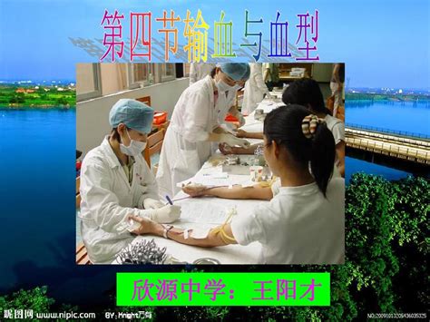 七年级生物第四章第四节输血与血型课件人教版word文档在线阅读与下载无忧文档