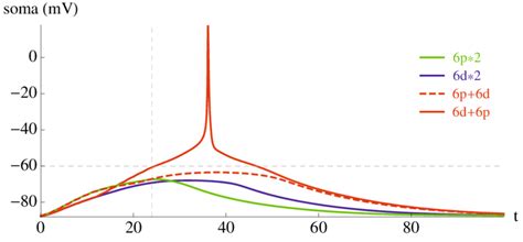 Synaptically Driven Distal Plateau Potential Facilitates The Generation Download Scientific