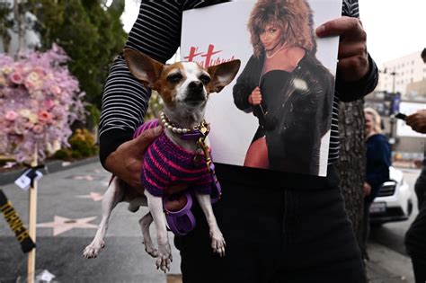 Lluvia De Homenajes A La Reina Del Rock Tina Turner
