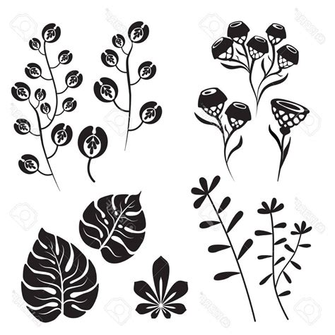Stem Vector At Collection Of Stem Vector Free For
