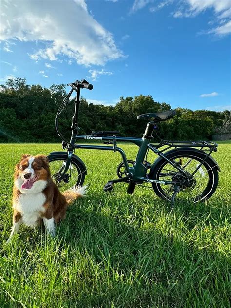 Class 2 E Bike Hack Vs Buy Class 3 Safety Guide