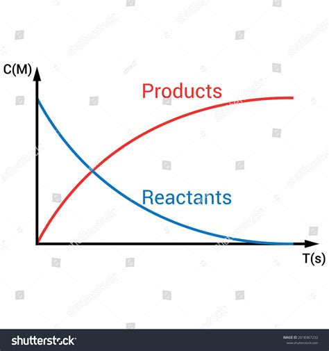 Concentration Reactant Product Vs Time Rate Stock Vector Royalty Free