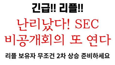 리플 진짜 미쳤습니다 난리났다 Sec 비공개회의 또 연다 리플 보유자 무조건 2차 상승 준비하세요 리플 리플코인 리플전망 Youtube