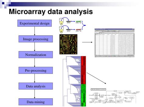 Ppt Molecular Biology Techniques Powerpoint Presentation Free Download Id 3551471