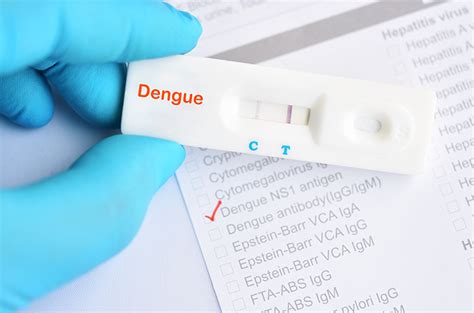 Dengue Ns1 Antigen Test Positive Means