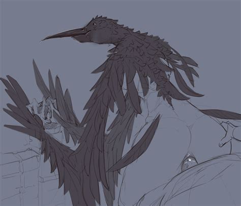 Rule 34 Avian Beak Bird Corvid Crow Crow Demon Dark Souls Dark Souls 2 Feathered Wings
