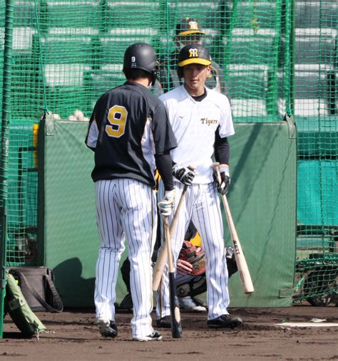 阪神7位高寺が1軍合流「楽しんで最高の結果に」 プロ野球写真ニュース 日刊スポーツ
