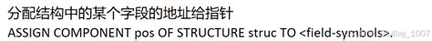Abap 引用变量type Ref To 和字段符号field Symbols全集abap Type Ref To Csdn博客