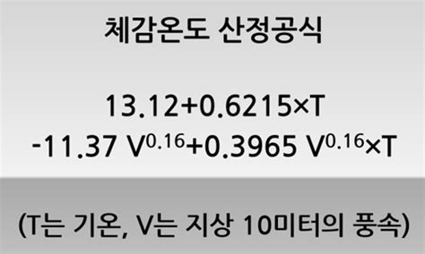 왜 남보다 더 춥다고 느낄까 [우리가 몰랐던 과학 이야기] 279