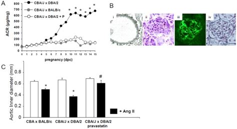 A Increased Acr Levels Were Observed In Cba J X Dba 2 Mice Along Download Scientific Diagram
