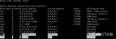 Linux之watch命令 知乎