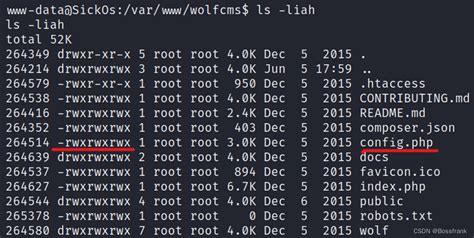 红队打靶：sickos1 1详细打靶思路（vulnhub） csdn博客