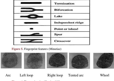 figure 1 from deep learning algorithms based fingerprint authentication