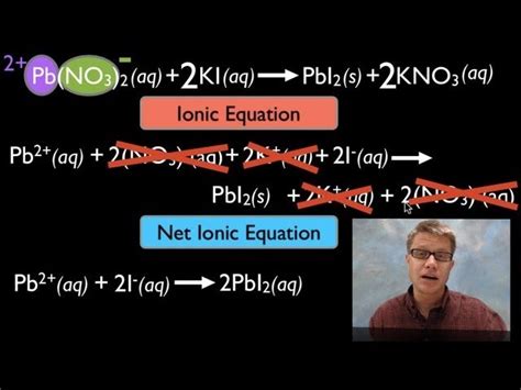 Define Net Ionic Equation Example Tessshebaylo