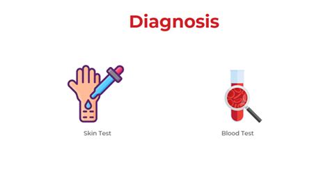 Skin Allergies Types Symptoms Causes And Diagnosis Dr Lal Pathlabs Blog
