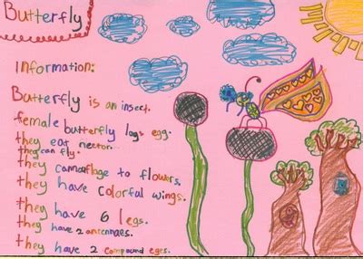 PYP Sharing The Planet Learning Journey