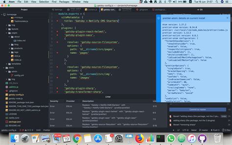 Cant Turn On Singlequote · Issue 427 · Prettierprettier Atom · Github