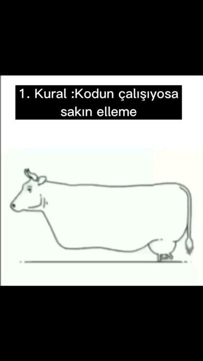 Yazılım Motivasyon Teknoloji Yazilimsayfasi • Instagram Photos