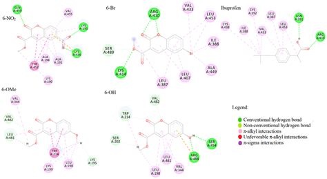 Interactions Of Ip And Four Coumarin Derivatives With Hsa At Sudlow I