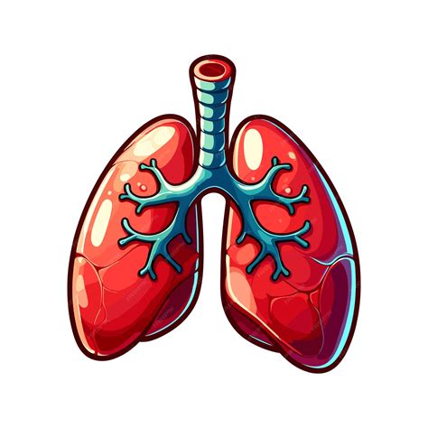 Premium Vector Cartoon Lungs Vector Illustration