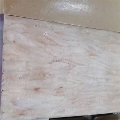 Frozen Alaska Pollock Loinless Block Packaging Drum At Best Price In Miami Exportico Corp