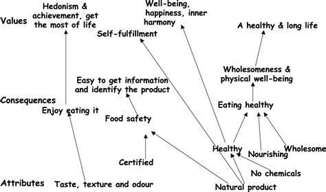 Hierarchical Value Map Of Positive Ladders Of The Occasional Consumers Download Scientific