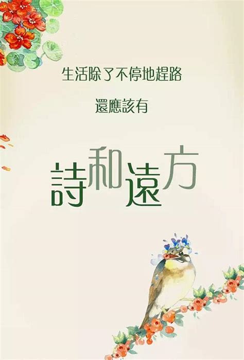 关于博主 阿尔法PHP程序员博客