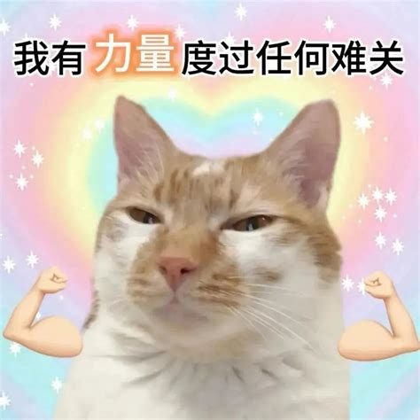 可爱猫咪配肌肉手臂，励志文案“我有力量度过任何难关” 表情包丨我有力量度过任何难关表情包图片动图 求表情网斗图从此不求人