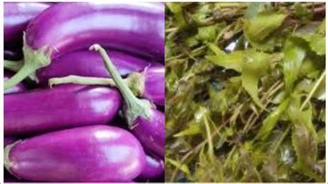 Nim Bagun Bhaja Nim Bagun Recipe Bengali Recipe Youtube