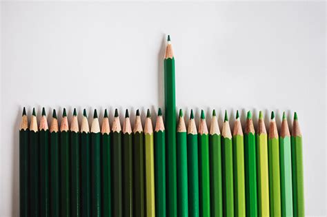 녹색 색깔된 연필 라인에서 다른 하나에 거짓말의 행 녹색의 다른 그늘 생태와 환경 돌보는의 개념입니다 자신의 의견에 대 한 밖으로 서 0명에 대한 스톡 사진 및 기타 이미지