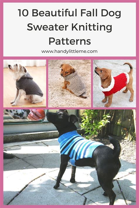 20 Beautiful Fall Dog Sweater Knitting Patterns Dog Sweater Pattern