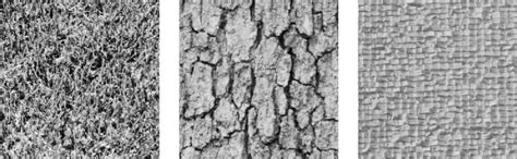 Figure 1 From Multi Fractal Texture Segmentation For Off Road Robot Vision Application