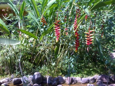 030520072068 Edison Tan Flickr