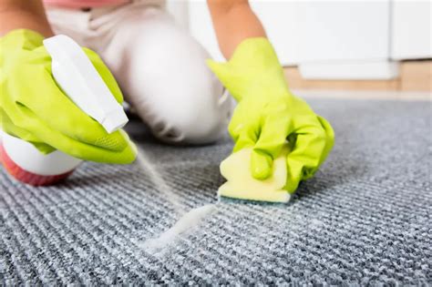 How Do Professionals Remove Carpet Stains Mdb Ltd