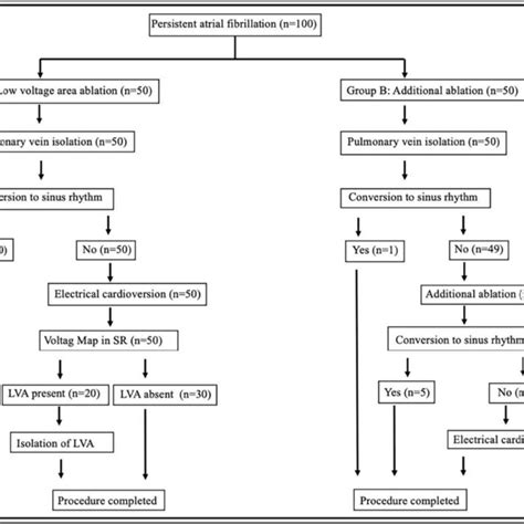 Flow Chart Of The Study Protocol Download Scientific Diagram