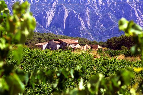 Priorat Meris O