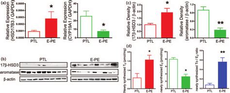 Compromised Synthesis Of Testosterone And Estradiol In The Severe