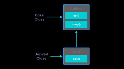 Constructors In Inheritance C Programming For Beginners Youtube