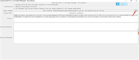 Burpsuite的安装和java环境的配置burpsuite Jdk11可以么 Csdn博客