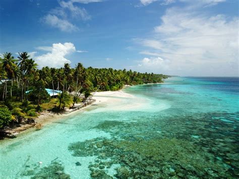 What Sex Looks Like In D Ultrasound Iflscience