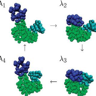 Diffusion Coefficient And Protein Radius Download Table